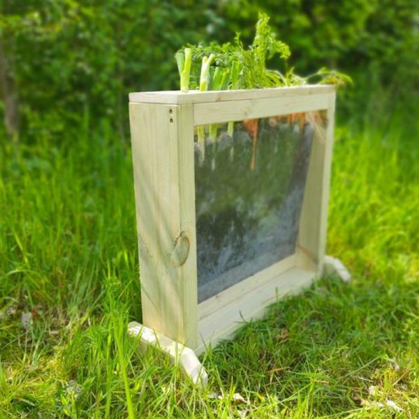 See-Through Discovery Planter - OSI